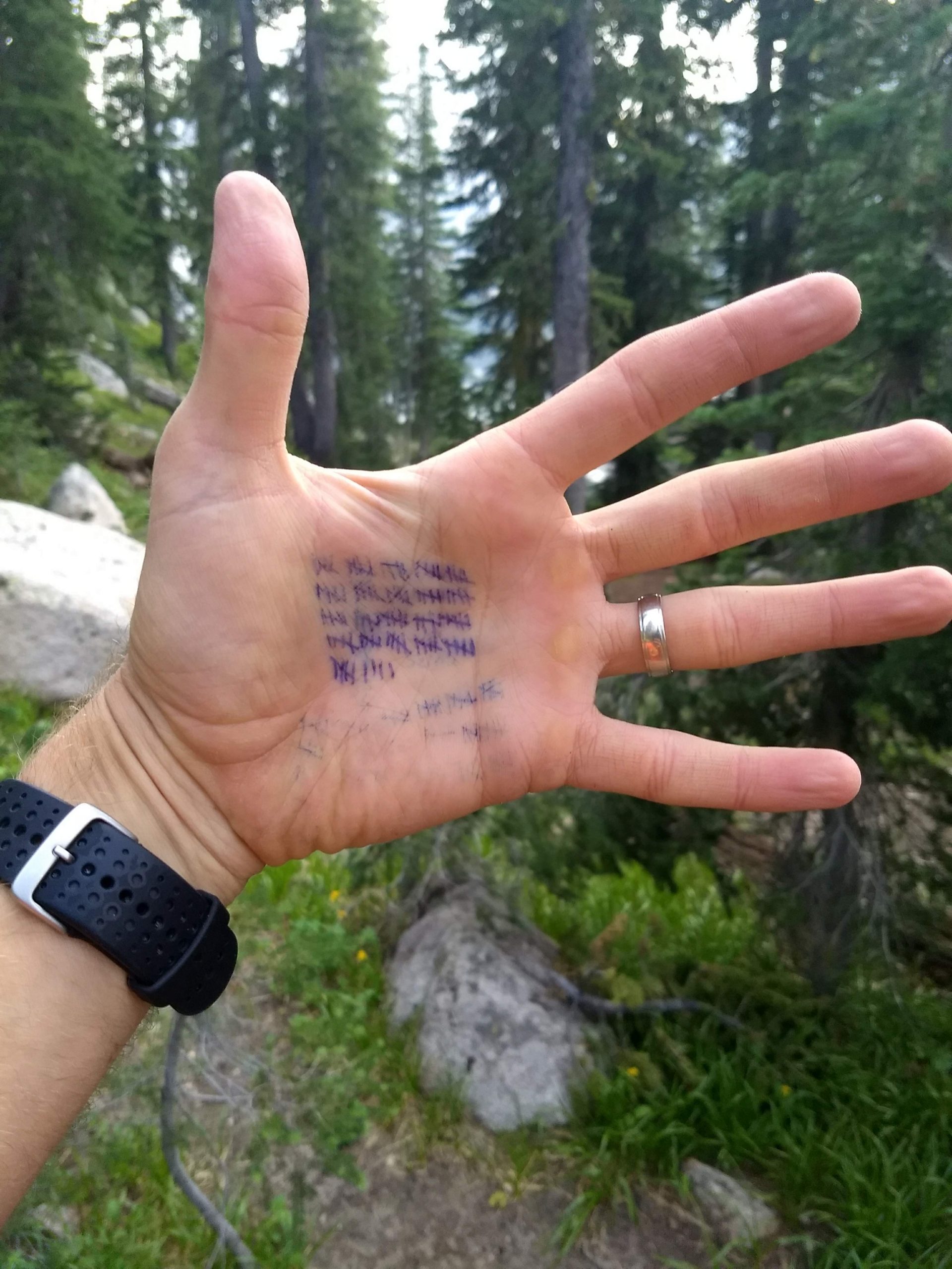 50 Mile Backpacking Trip in the Sawtooth Wilderness – blake runs